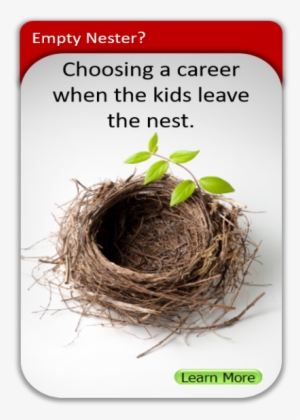 Empty Nest Icons - 360x1340 PNG Download - PNGkit