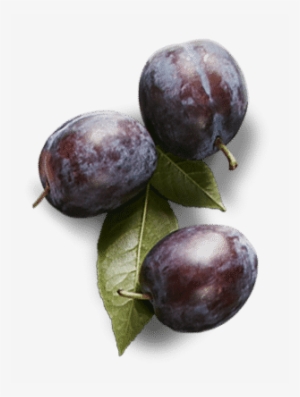 Saba Is A Secret Ingredient Of Chefs And Foodies Alike - Saison ...