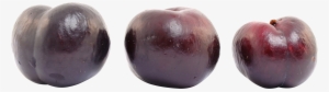 Plum Png Image - Portable Network Graphics - 3500x991 PNG Download - PNGkit