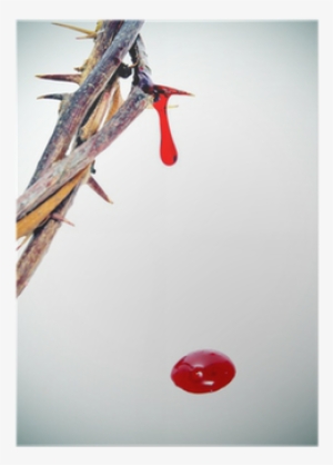 Precious Blood - Catholic Prayer Precious Blood Of Jesus - 1569x461 PNG ...