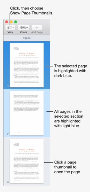 The Thumbnail Sidebar With The Selected Page Highlighted - Blue ...