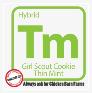 Bfb Chicken Bucket Body - Bfdi Chicken Bucket - 334x434 PNG Download ...