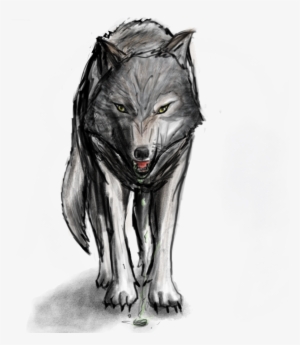 Real Wolf Png - Display Resolution - 1000x1000 PNG Download - PNGkit