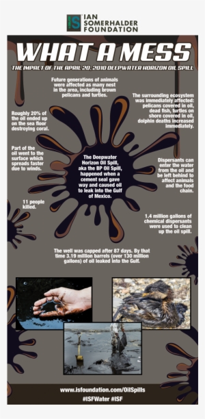 What A Mess Infographic - Infographic - 581x1200 PNG Download - PNGkit