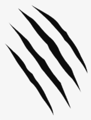 Scratch And Scribble Scratch Art Kit - Doodle - 800x800 PNG Download ...