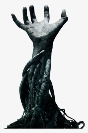 Body Parts PNG, Free HD Body Parts Transparent Image - PNGkit