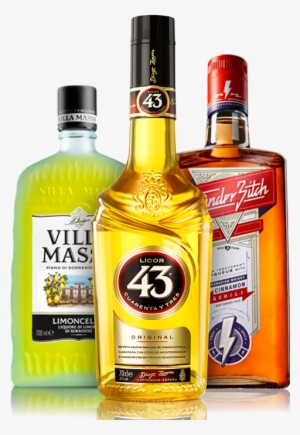 Spirits - Diego Zamora Licor 43 Liter - 479x701 PNG Download - PNGkit