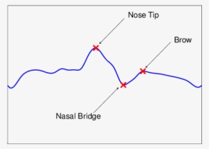 Face Profile With Labelled Feature Points - Diagram - 453x323 PNG ...