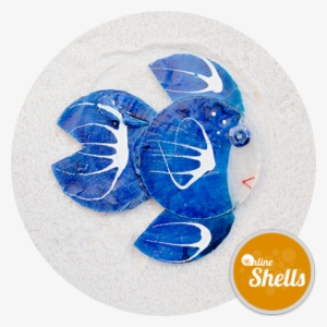 Capiz Shells Angel Fish - Capiz - 395x395 PNG Download - PNGkit