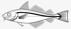 Codfish Black White Line Art 999px 109 - Cod Fish Coloring Pages ...