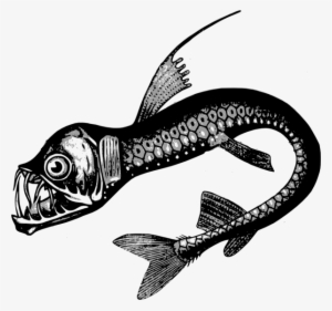 Fish Sea Life Marine Cartoon Transparent Image - Deep Sea Creatures ...