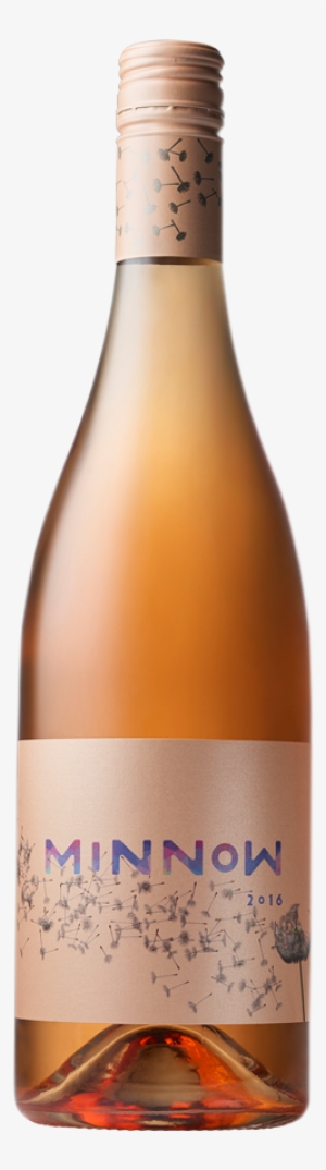 2016 Minnow Rose-1000x1000 - Minnow - 1000x1000 PNG Download - PNGkit