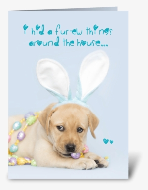 Yellow Labrador Retriever Easter Bunny Greeting Card - Labrador ...