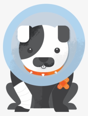 Dog Insurance - Pet Insurance Clipart - 302x400 PNG Download - PNGkit