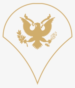 Army Rank Spc - Chrome Us Army Ranks - 343x400 PNG Download - PNGkit
