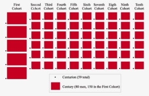 Structure Of The Legion - Roman Legion Structure - 558x361 PNG Download ...