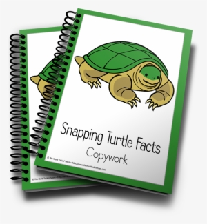 Common Snapping Turtle Decal - Snapping Turtle Art - 590x264 PNG ...