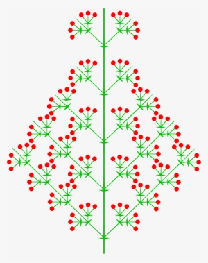 Open - Thyrsus Blütenstand - 2000x2531 PNG Download - PNGkit