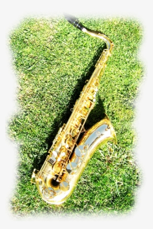 Saxophone - Baritone Saxophone - 307x460 PNG Download - PNGkit