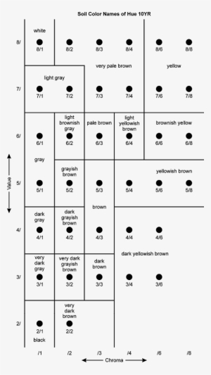 The Arrangement Of Color Chips According To Value And - Number ...