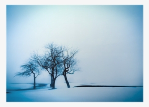 Minimalism Snowy Landscape With Trees Poster • Pixers® - Oak - 400x400 ...