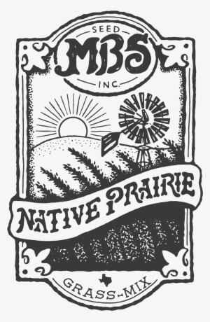 Native Prairie Grass Seed Mix - Lawn - 1404x2154 PNG Download - PNGkit