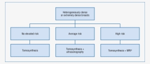 Annual Screening Management Strategy For Women With - Organization ...
