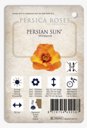 Persian Sun™ - Hibiscus - 659x1024 PNG Download - PNGkit