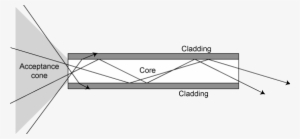 Optical-fibre - Optical Fiber Cable Diagram - 550x255 PNG Download - PNGkit