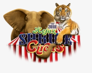 2017 Hejaz Shrine Circus Logo - Entertainment - 618x500 PNG Download ...