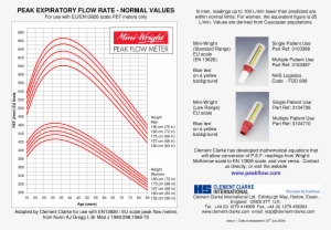 Convert My Puesdo Code To Flow Chart Inspirational - Flowchart For ...