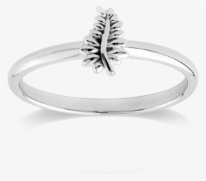 Nz Fern Ring - Ring - 1024x1024 PNG Download - PNGkit