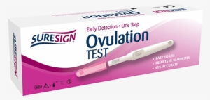 How To Test File Download Using Capybara - Capybara - 947x385 PNG ...