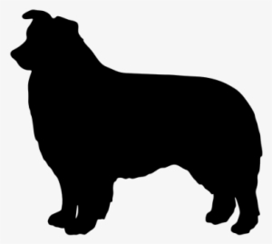 Aussie - Mini Australian Shepherd Silhouette - 640x640 PNG Download ...