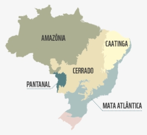 O Bioma - Map Of Brazilian Biomes - 486x445 PNG Download - PNGkit