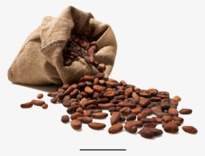 The Trinitario Group Represents A Unique Hybrid Collection ...