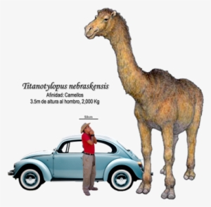 139 Kb Png - Titanotylopus Nebraskensis - 391x375 PNG Download - PNGkit