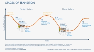Stages Of Transition Lightbkgrd - Graph Of Student Transition ...