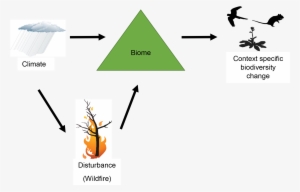 Graphical Abstract - Diagram - 1080x459 PNG Download - PNGkit
