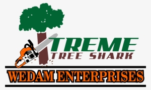 Xtreme Tree Shark Logo - Wisconsin - 1280x767 PNG Download - PNGkit