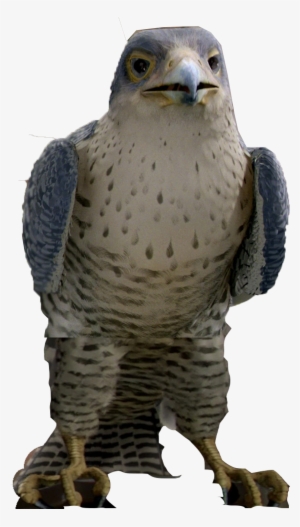 The Falcon - Stuart Little 2 Falcon - 833x1466 PNG Download - PNGkit