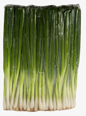 Chives - 866x650 PNG Download - PNGkit