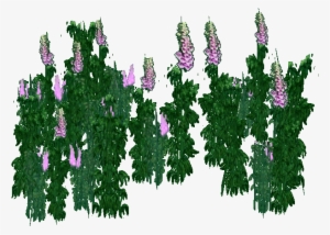 Logo - Foxglove Logo - 1699x2087 PNG Download - PNGkit