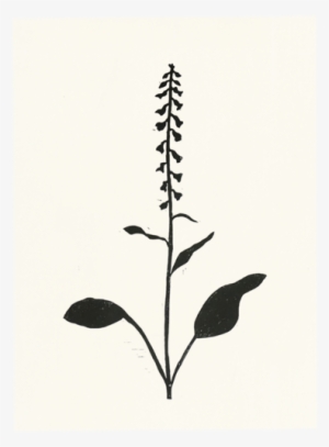 Collection Name - Paper - 500x500 PNG Download - PNGkit