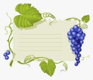 Canning Labels, Borders And Frames, Bulletin Boards - Grapes Leaves ...