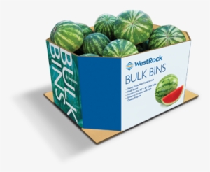 A Blue And White Large Bulk Bin Container Holding Watermelons ...