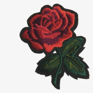 Rose Patch Png - Garden Roses - 685x1024 PNG Download - PNGkit