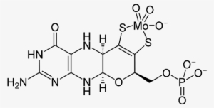 This - Chemical Structure Of Molybdenum - 620x324 PNG Download - PNGkit