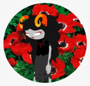 Homestuck Characters As Flowers - Anemoon - Hollandia - 2x50 Stuks ...