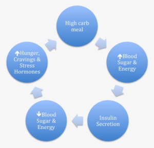 Carb Cycle - 5d Model Of Appreciative Inquiry - 900x698 PNG Download ...